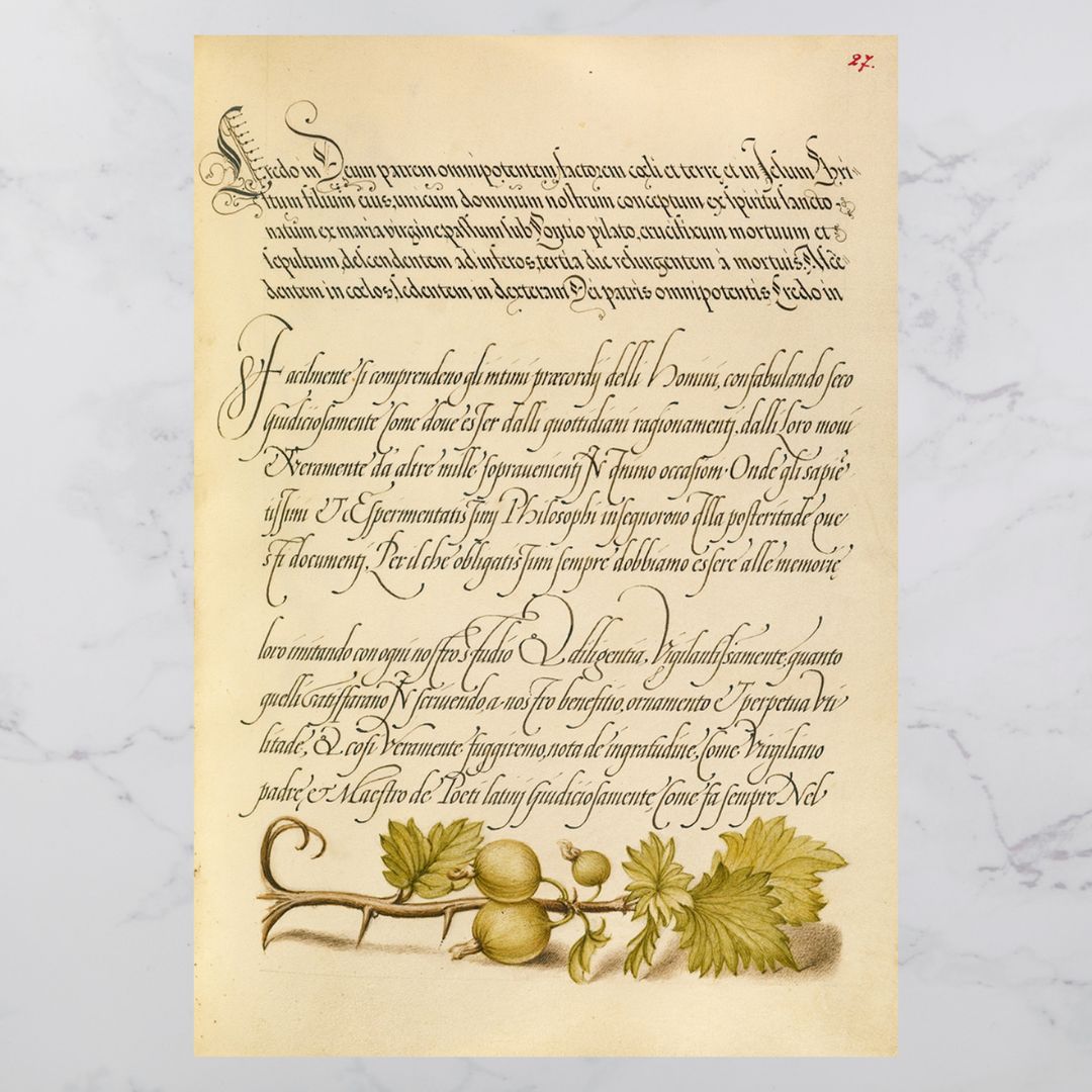 Mira Calligraphiae Monumenta, a masterpiece to behold, is available ...