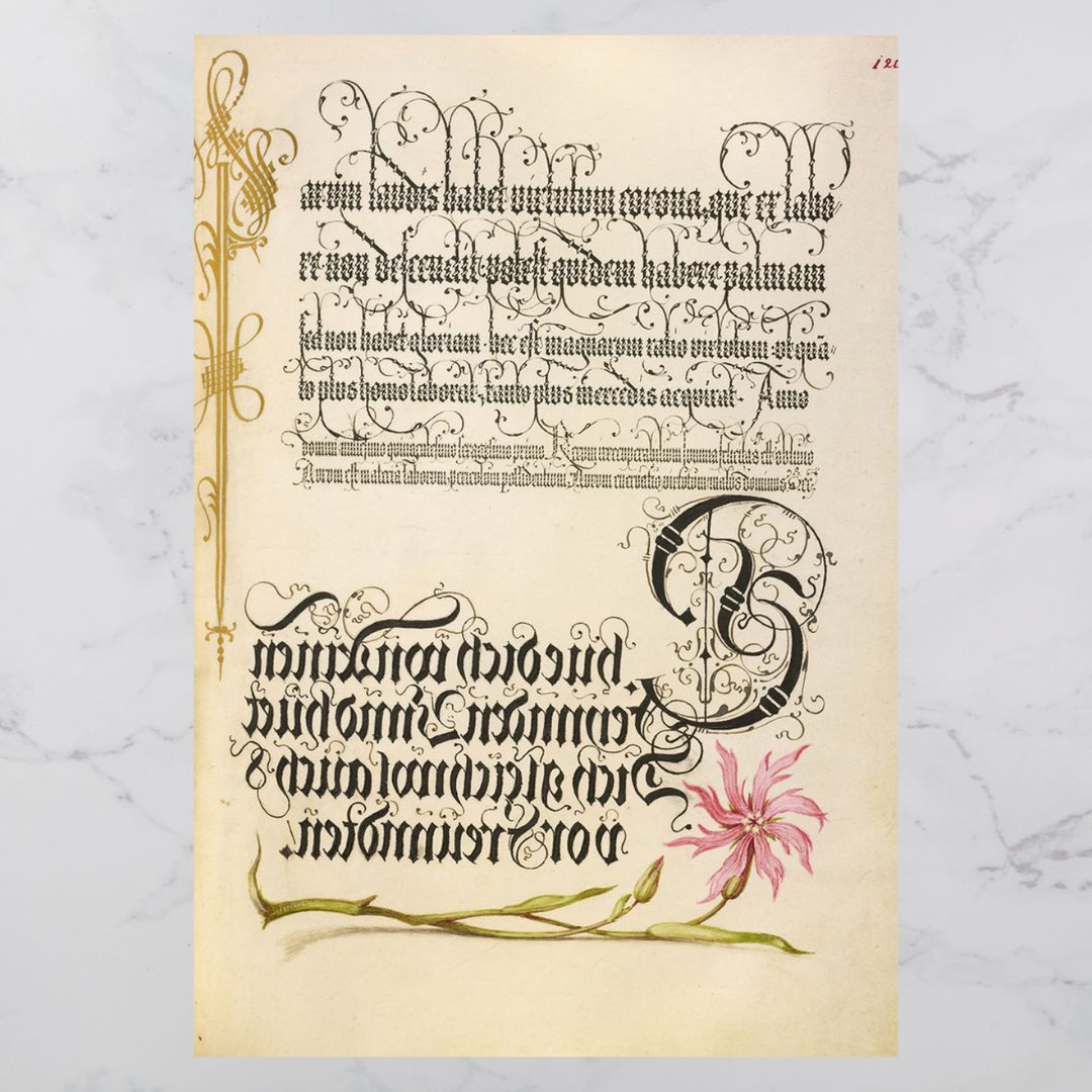 Mira Calligraphiae Monumenta, a masterpiece to behold, is available ...