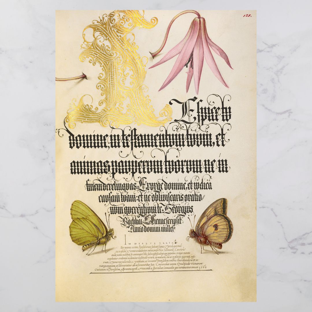 Mira Calligraphiae Monumenta, a masterpiece to behold, is available ...