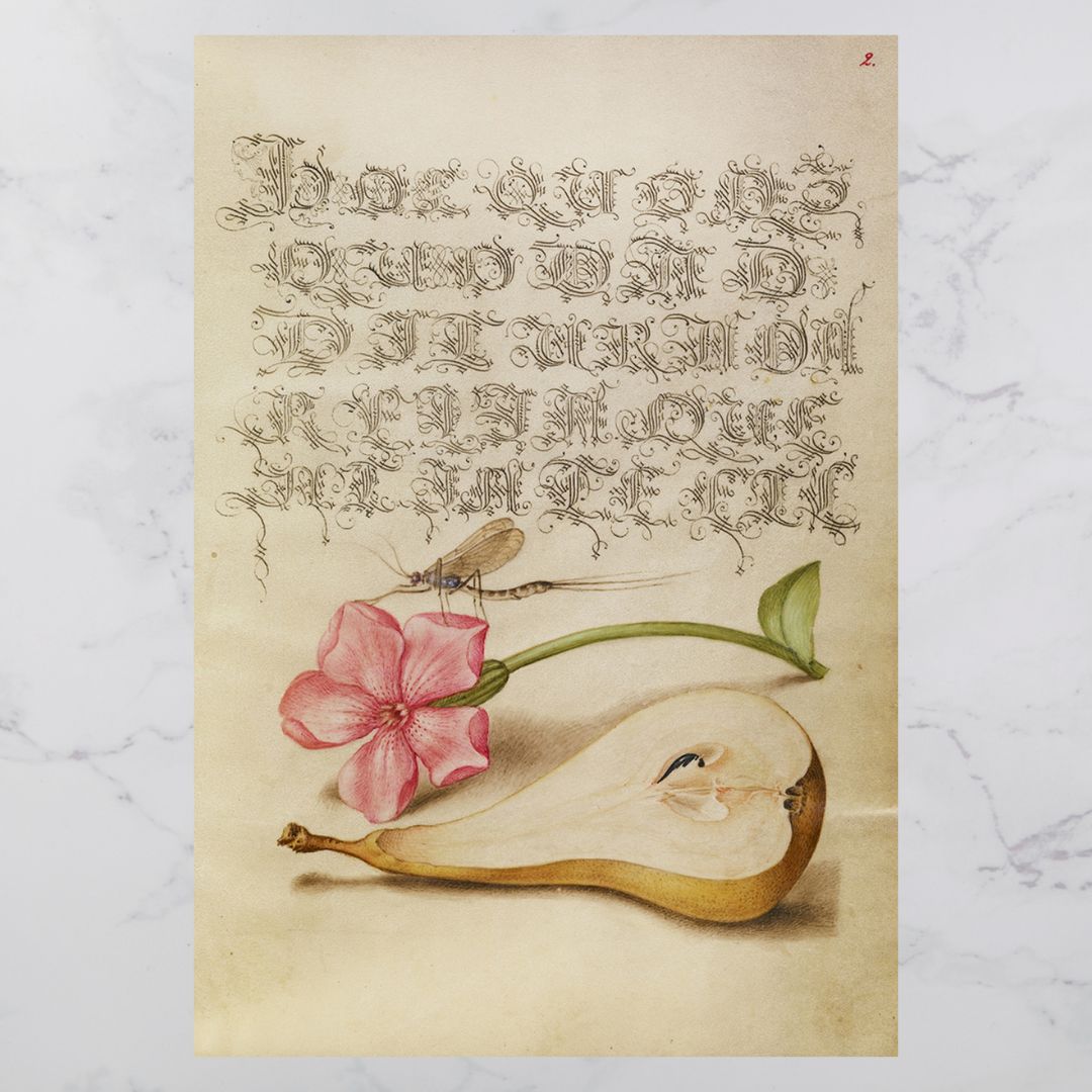 Mira Calligraphiae Monumenta, a masterpiece to behold, is available ...