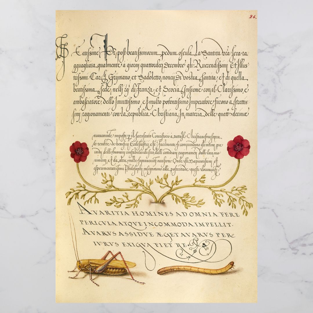 Mira Calligraphiae Monumenta, a masterpiece to behold, is available ...