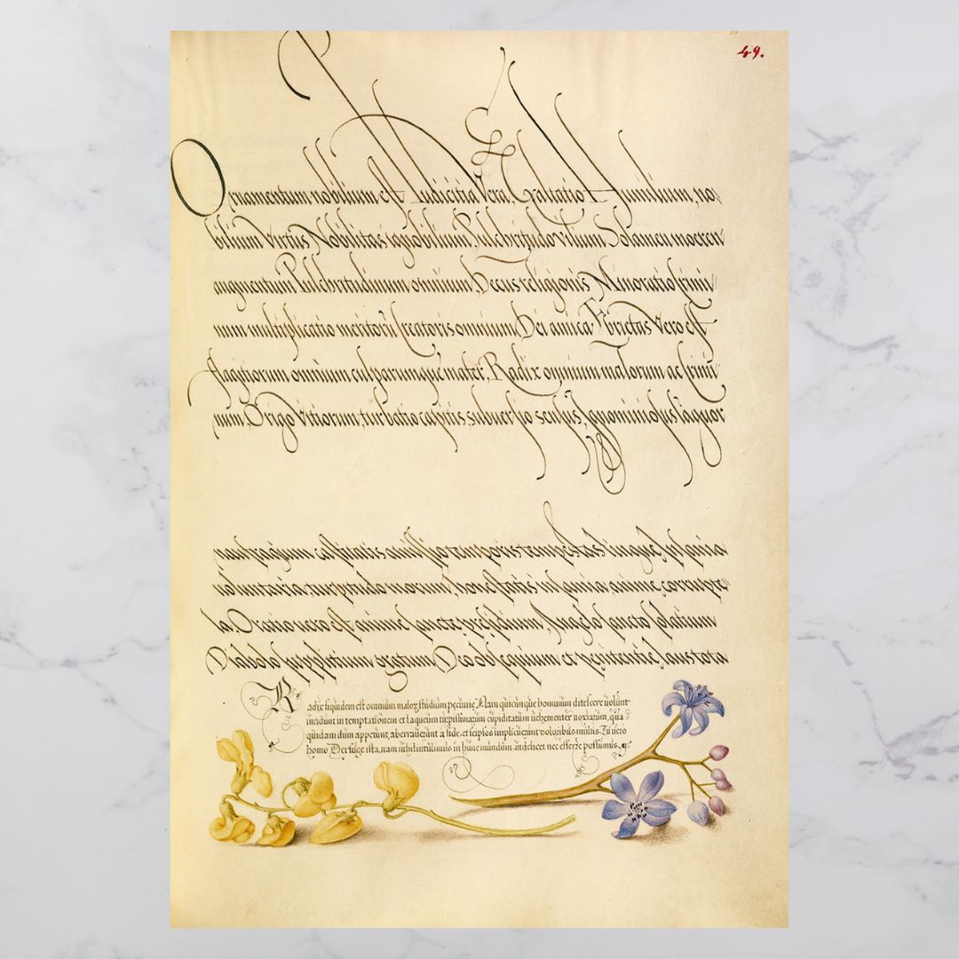 Mira Calligraphiae Monumenta, a masterpiece to behold, is available ...