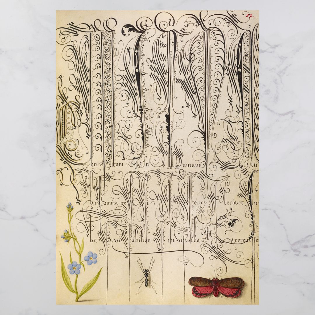 Mira Calligraphiae Monumenta, a masterpiece to behold, is available ...