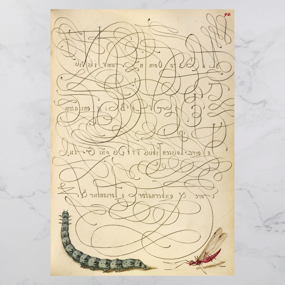 Mira Calligraphiae Monumenta, a masterpiece to behold, is available ...