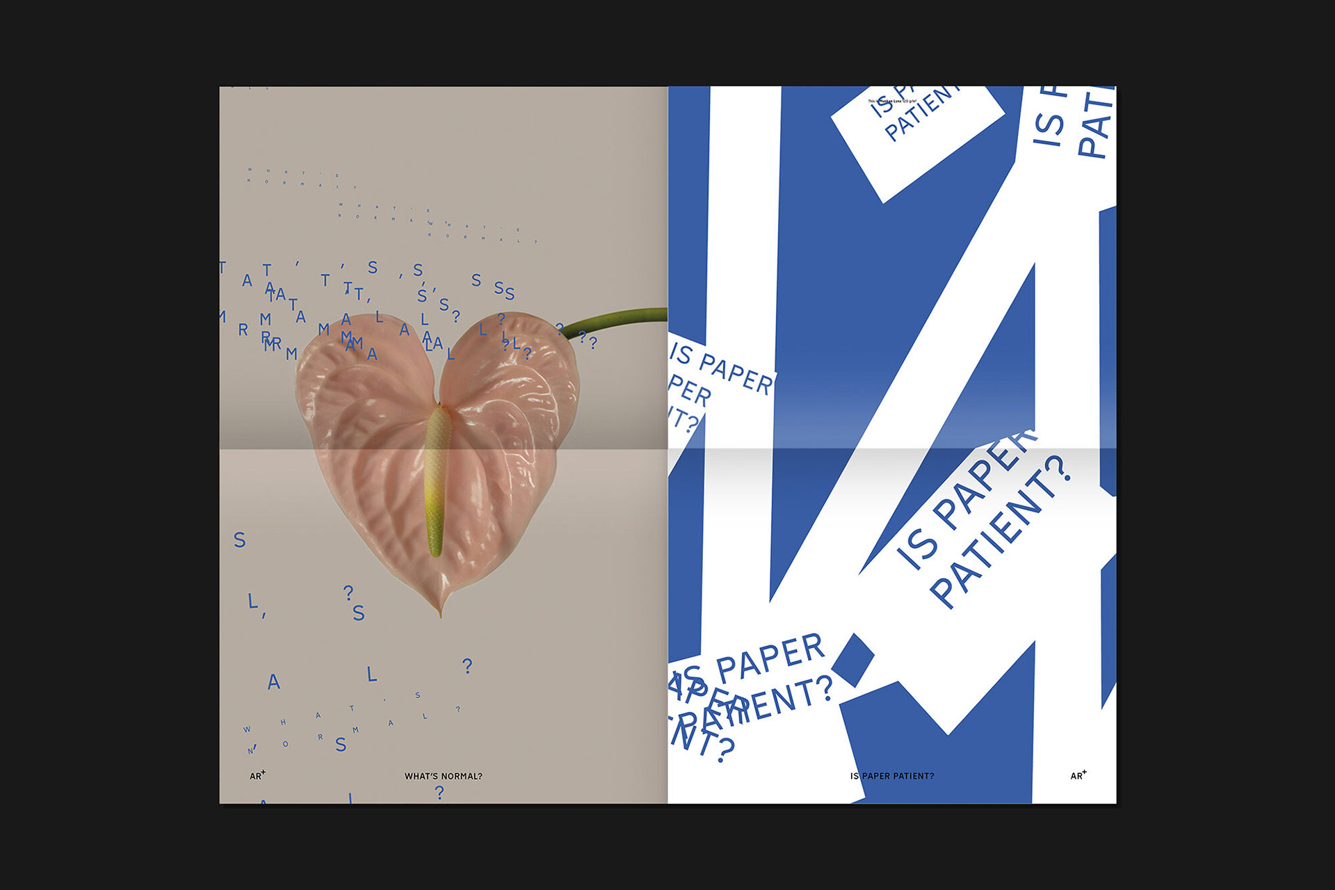 JUNO X Arctic Paper: Munken Creator is generative typography's ...