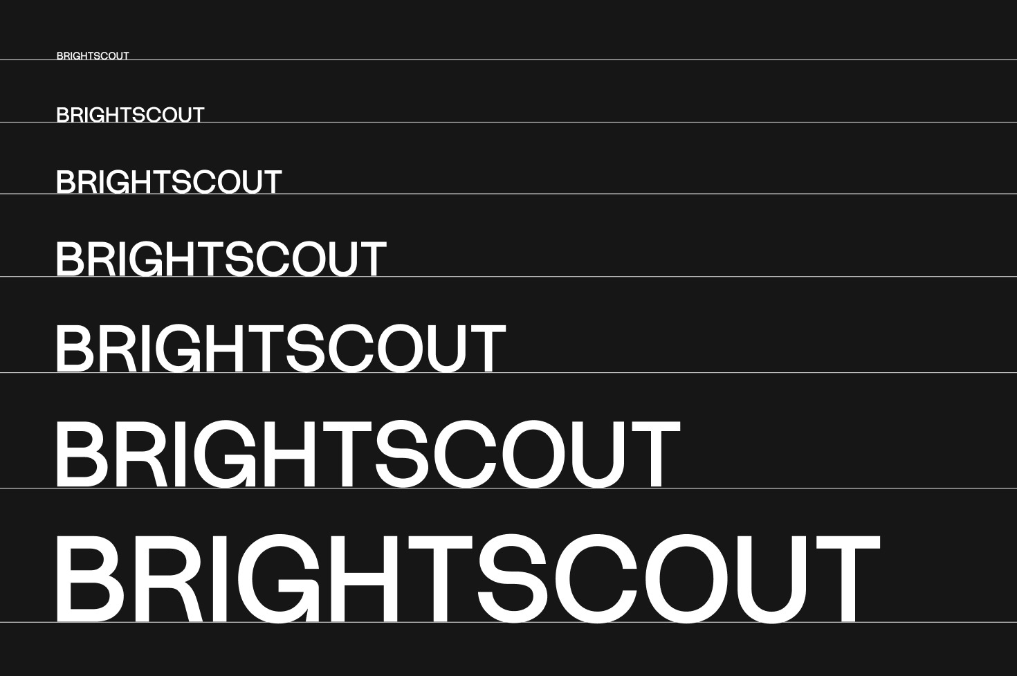 Muy Caliente! Brightscout’s rebranding is as cohesive as it should ...